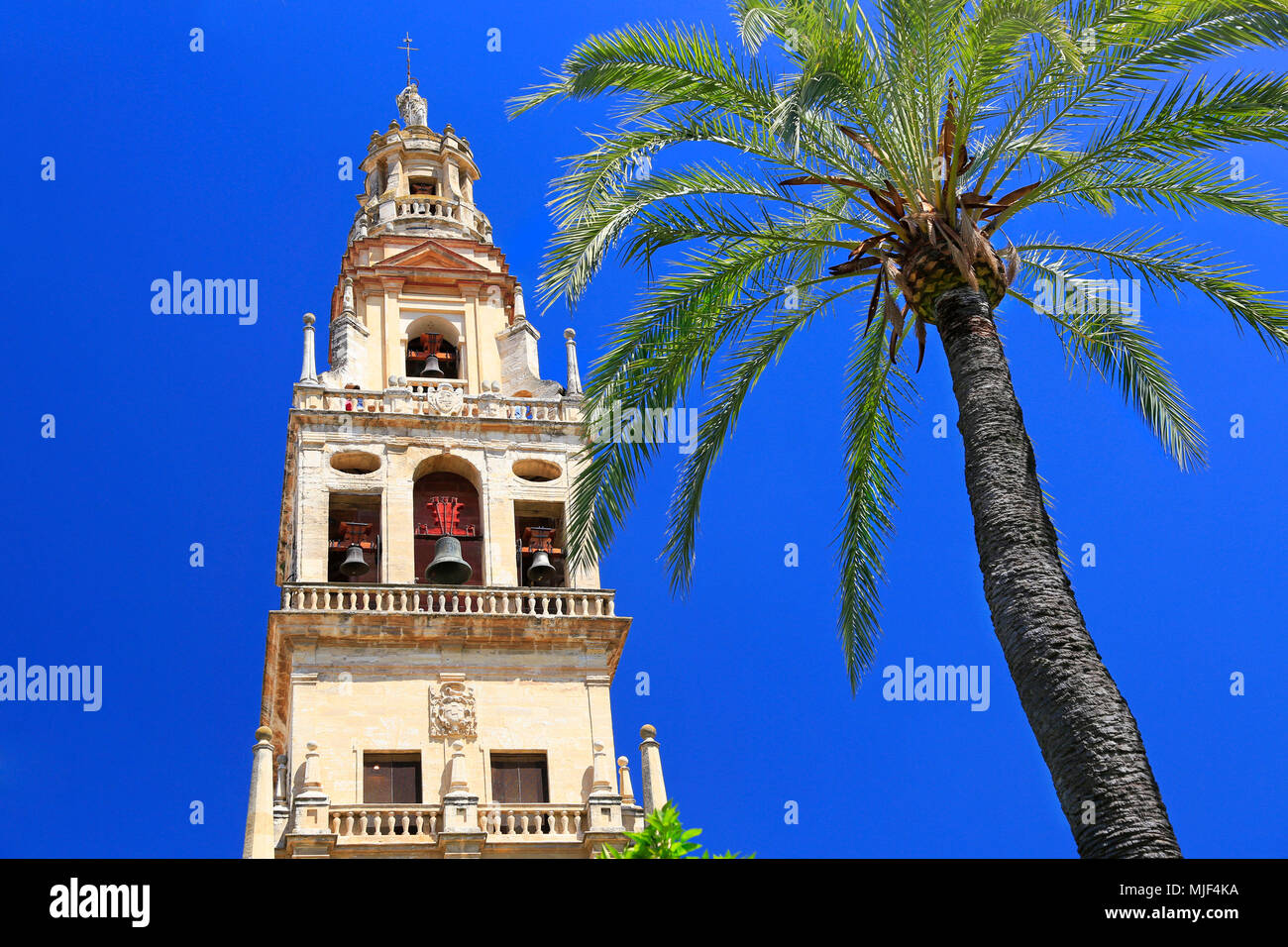 Cordoba bell tower of Cathedral of Our Lady of the Assumption, Spain ...
