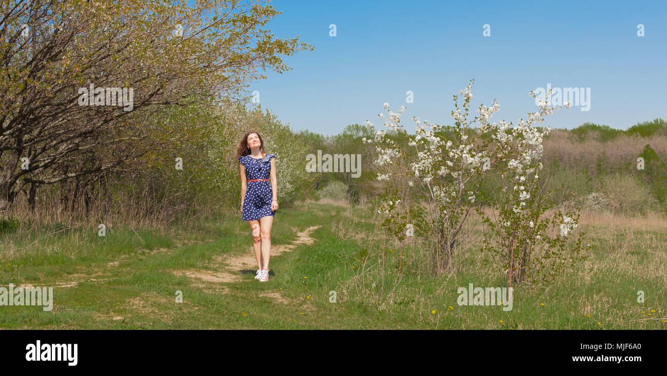 beautiful girl in a summer dress is walking along a path in the grass ...