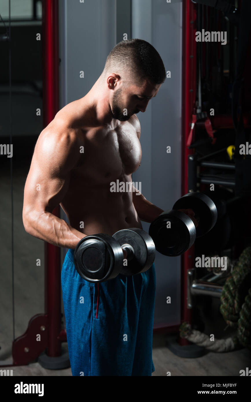 Athlete Working Out Biceps In A Gym - Dumbbell Concentration Curls ...
