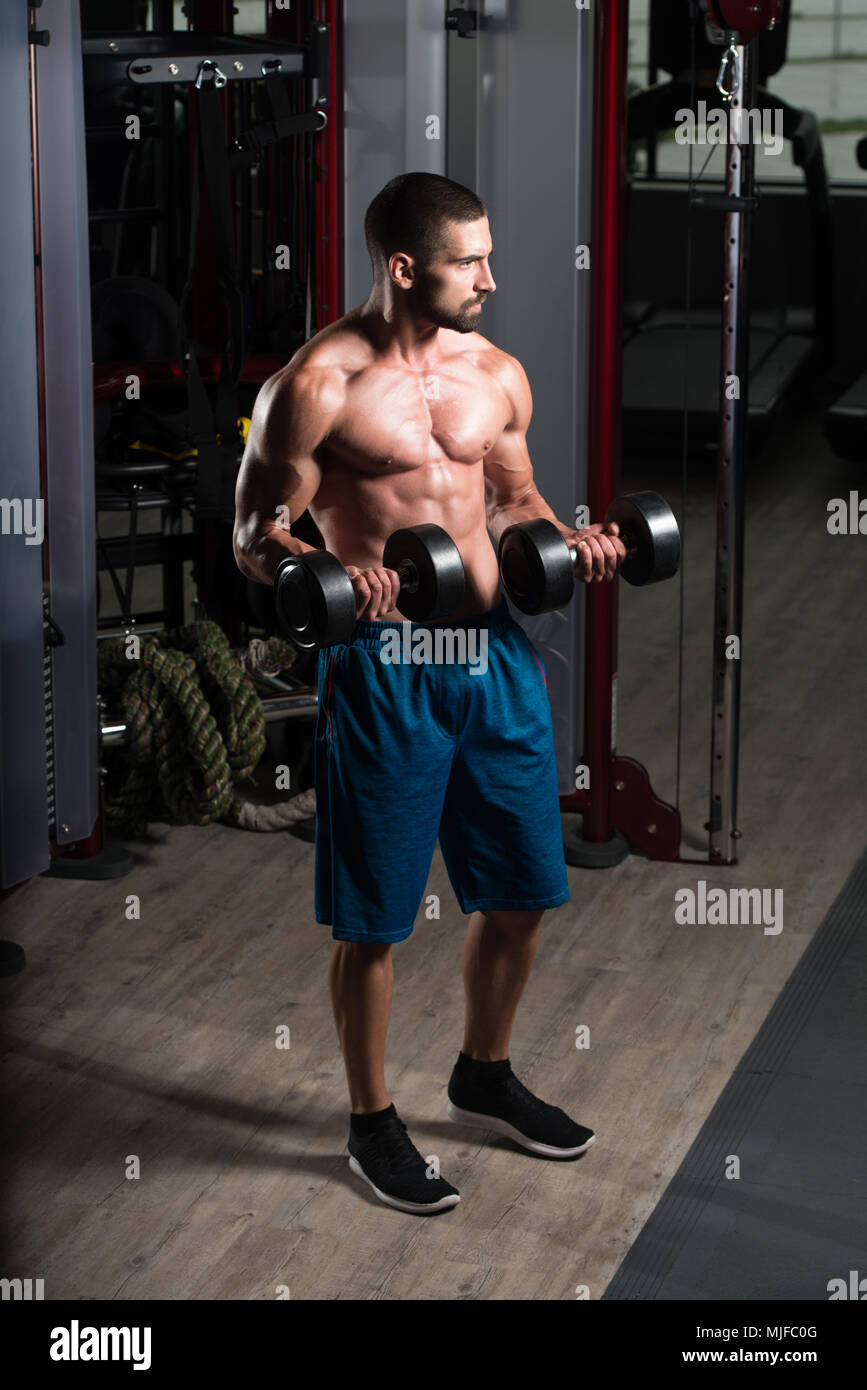 Athlete Working Out Biceps In A Gym - Dumbbell Concentration Curls Stock Photo - Alamy
