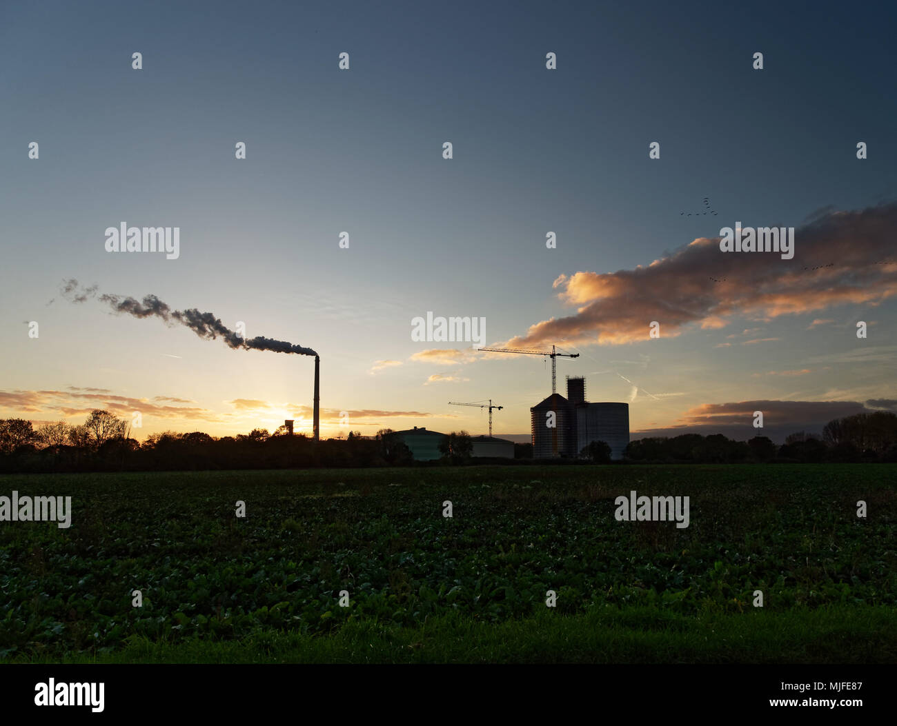 Large industrial plant at sunset Stock Photo - Alamy