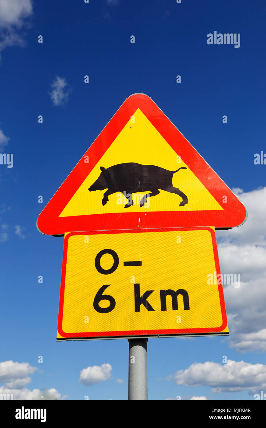 Warning danger wild boar sign hi-res stock photography and images - Alamy