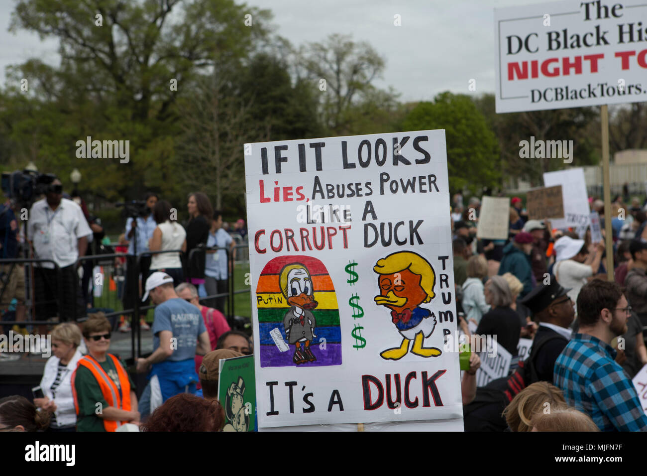 Trump Chicken Stock Photos & Trump Chicken Stock Images - Alamy