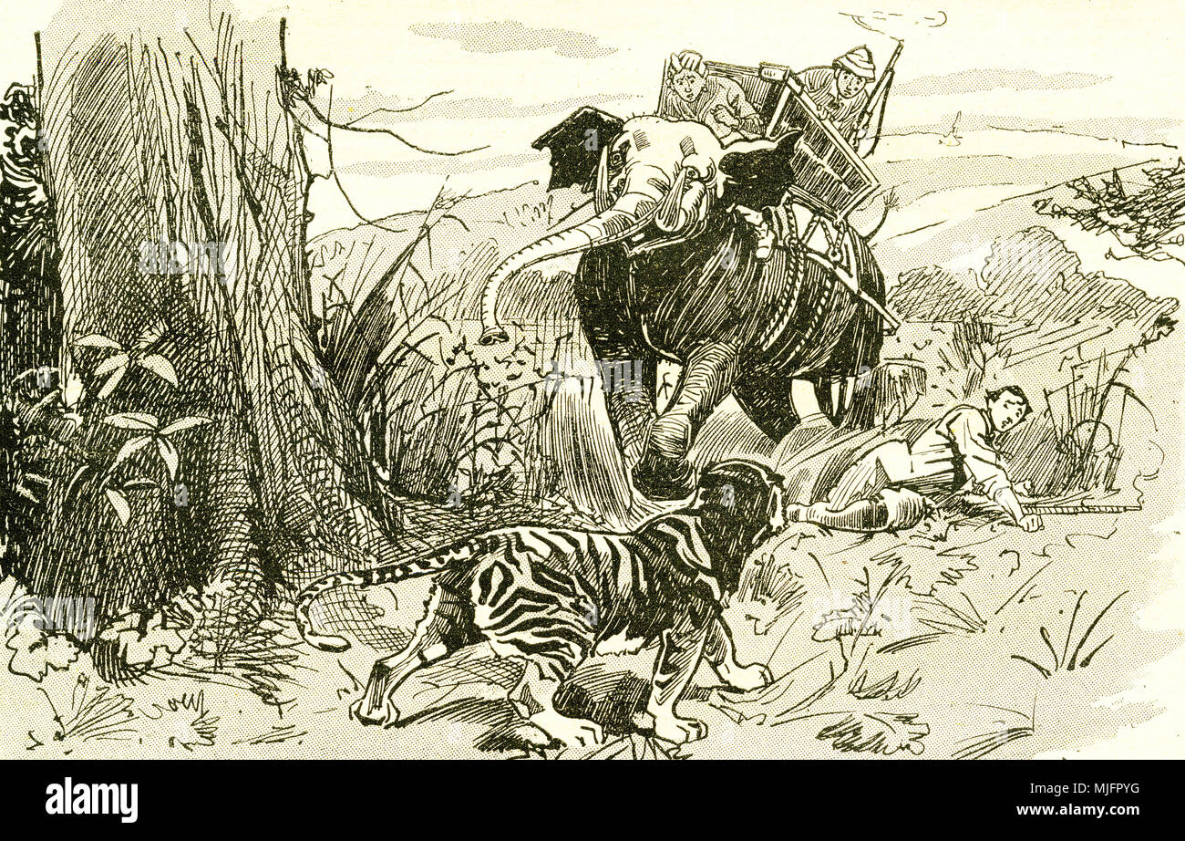 Tiger hunting 1800s hi-res stock photography and images - Alamy