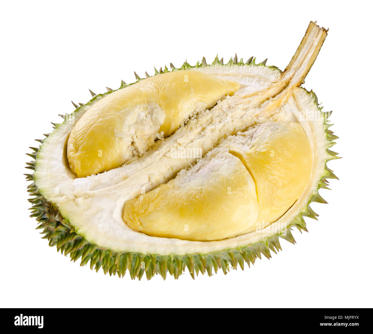 Durian fruit. Shell (husk) of the prized durian fruit Stock Photo - Alamy