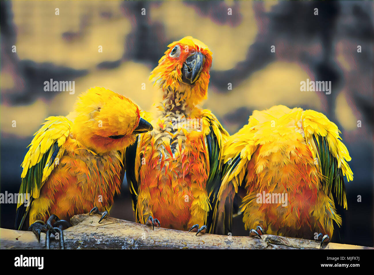 Three parrots sitting on a branch and communicating - illustration ...
