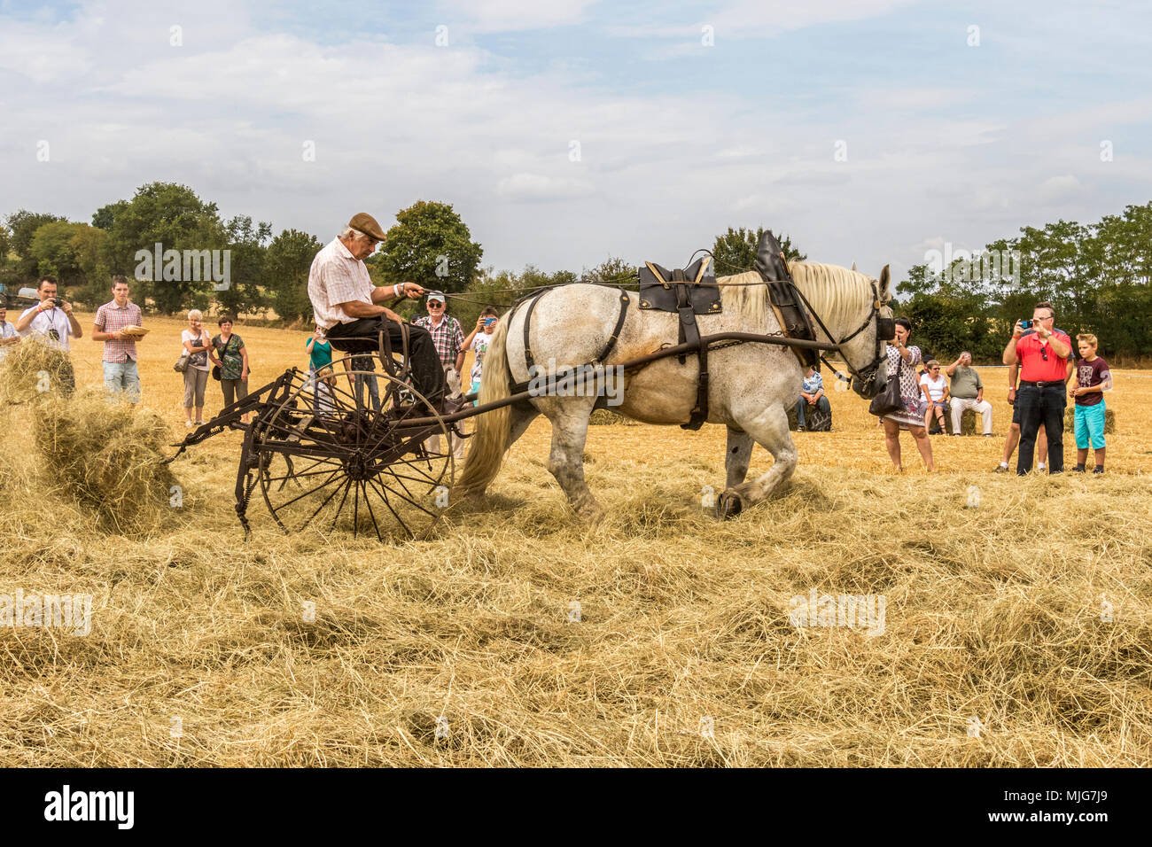 Demonstration at Fete De La Moisson France 2015 on how hay threshing ...