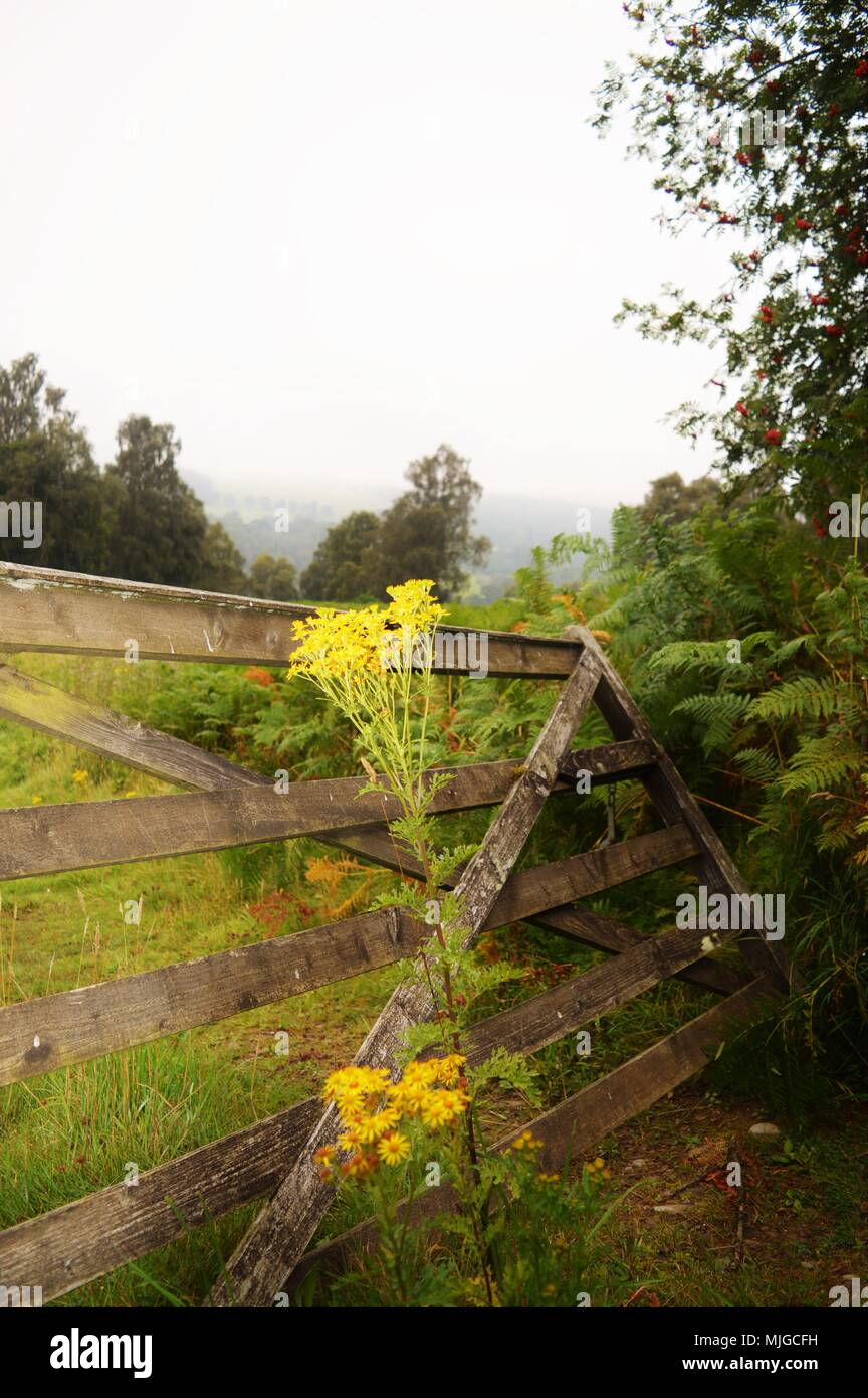 Grandtully hi-res stock photography and images - Alamy