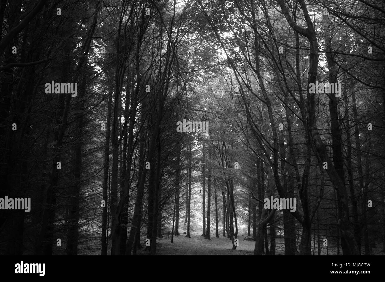 Grandtully scotland Black and White Stock Photos & Images - Alamy