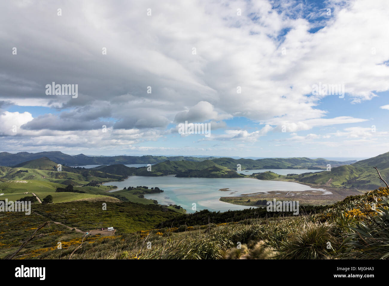 Portobello new zealand hi-res stock photography and images - Alamy
