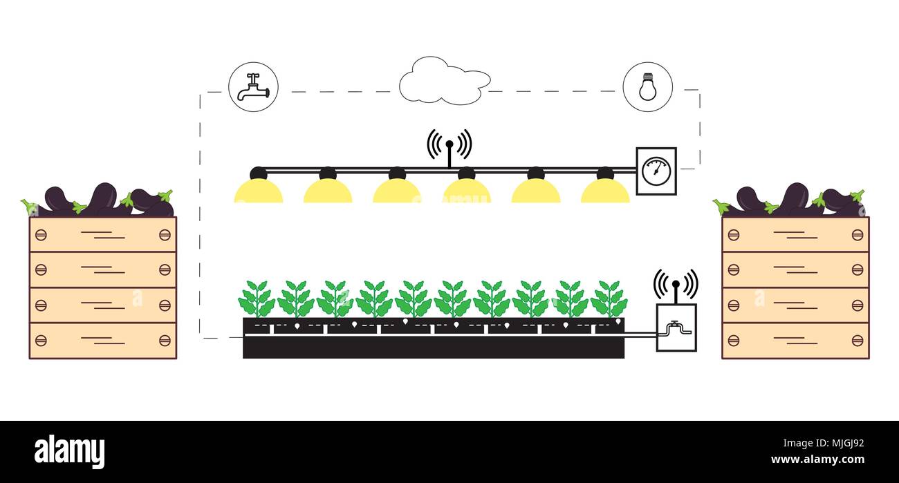 Smart farm and agriculture. Monitoring and control of temperature ...