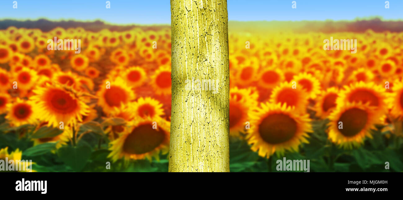 Colorfull signs hi-res stock photography and images - Alamy