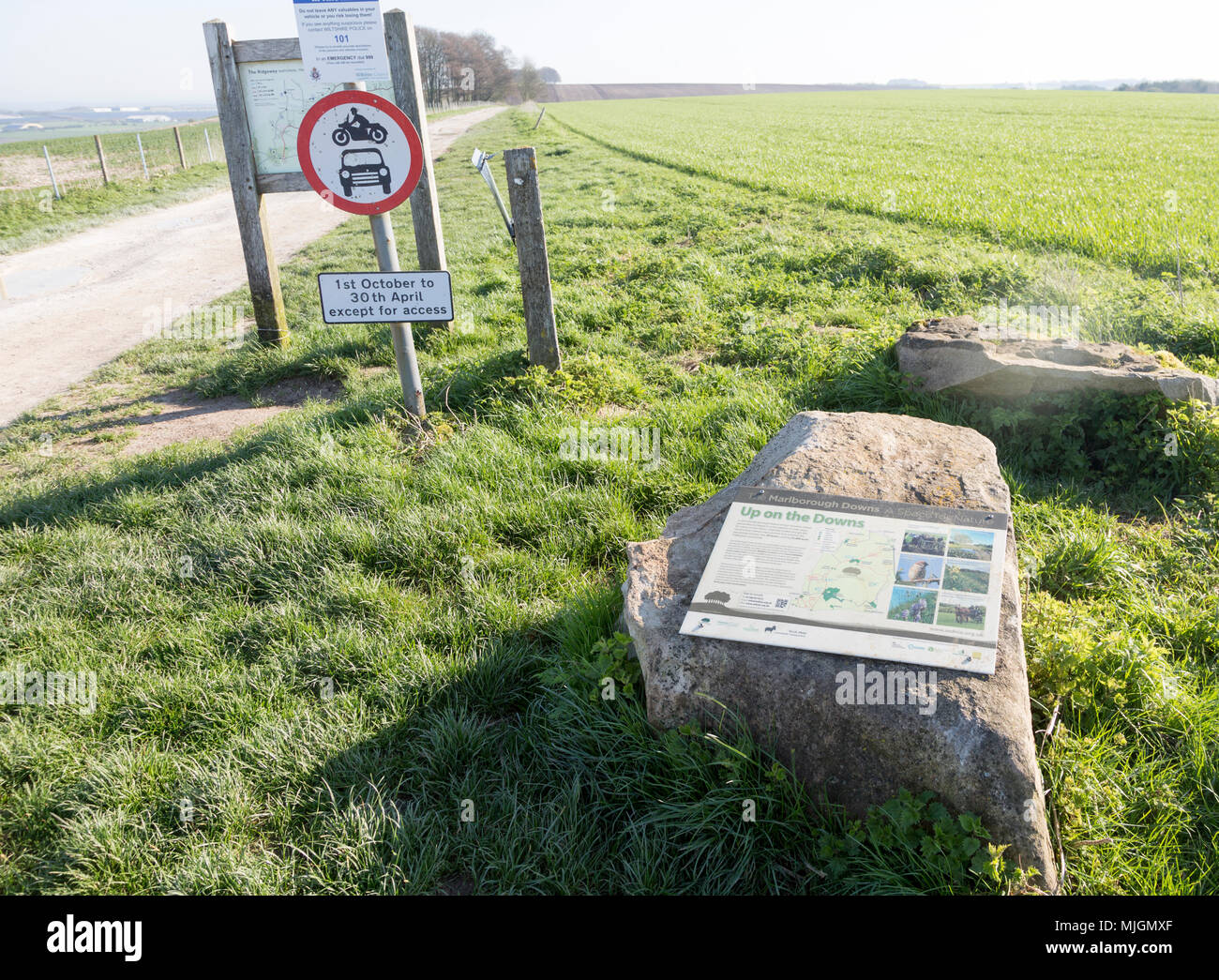 Information panel about Marlborough downs chalk landscape, on the ...