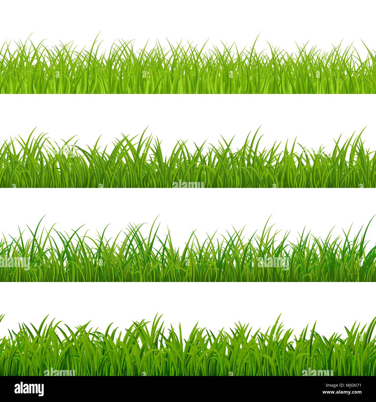 Grass Texture
