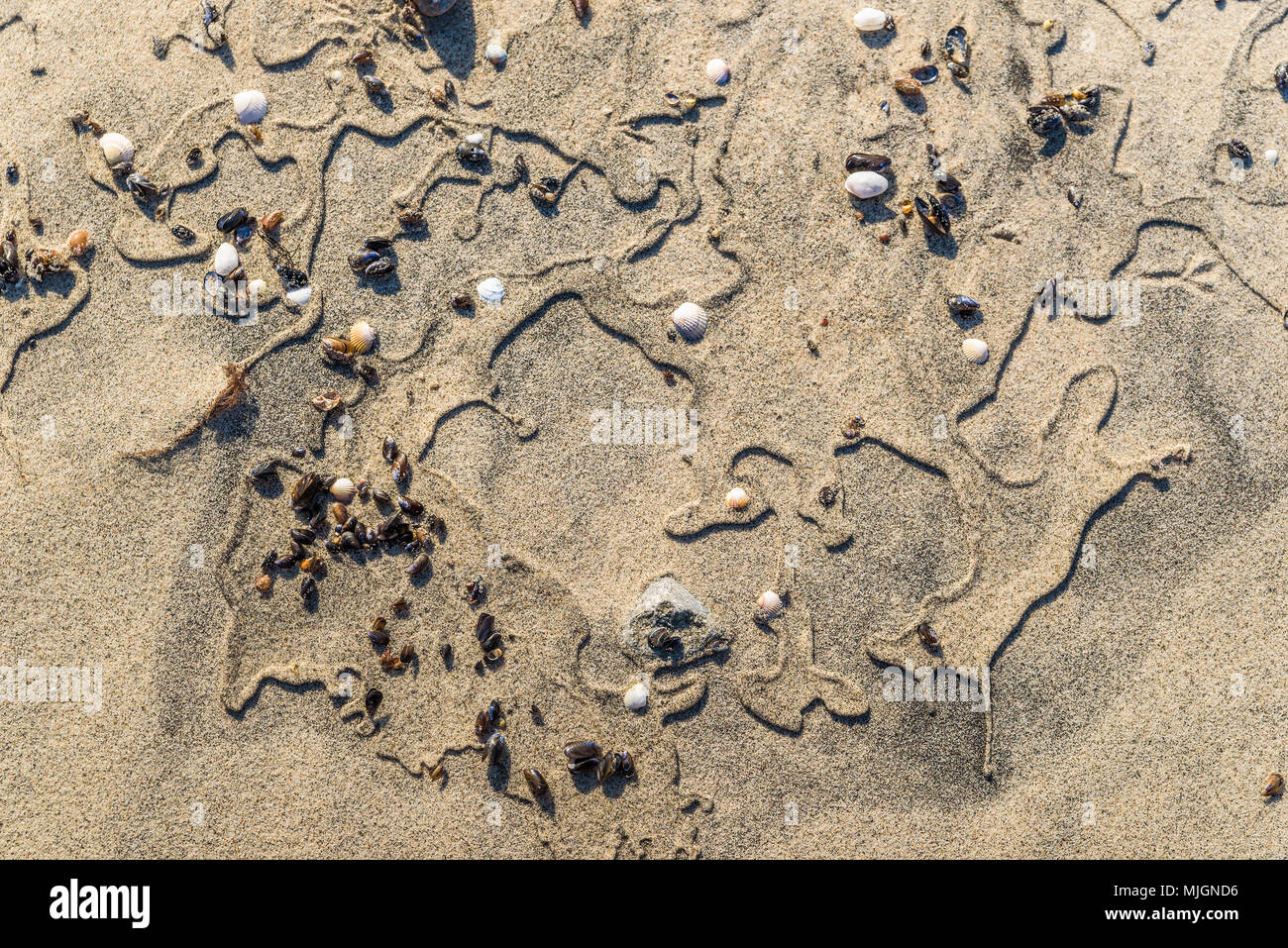 Boda coast eastern nature reserve on Oland, Sweden. Abstract natural ...