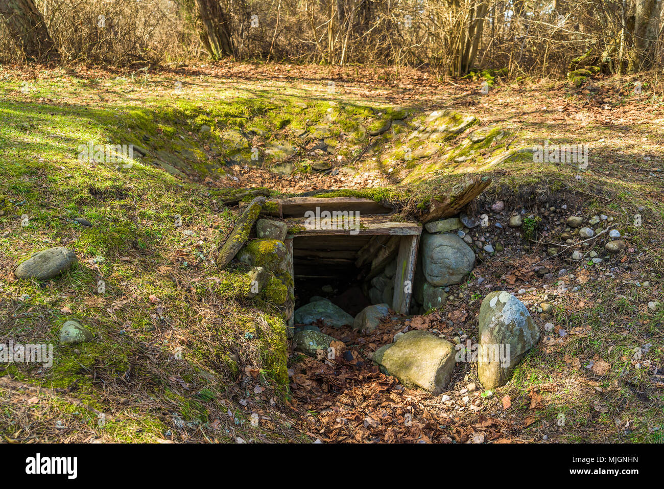 Trollskogen nature reserve on Oland, Sweden. An old tar pit for ...