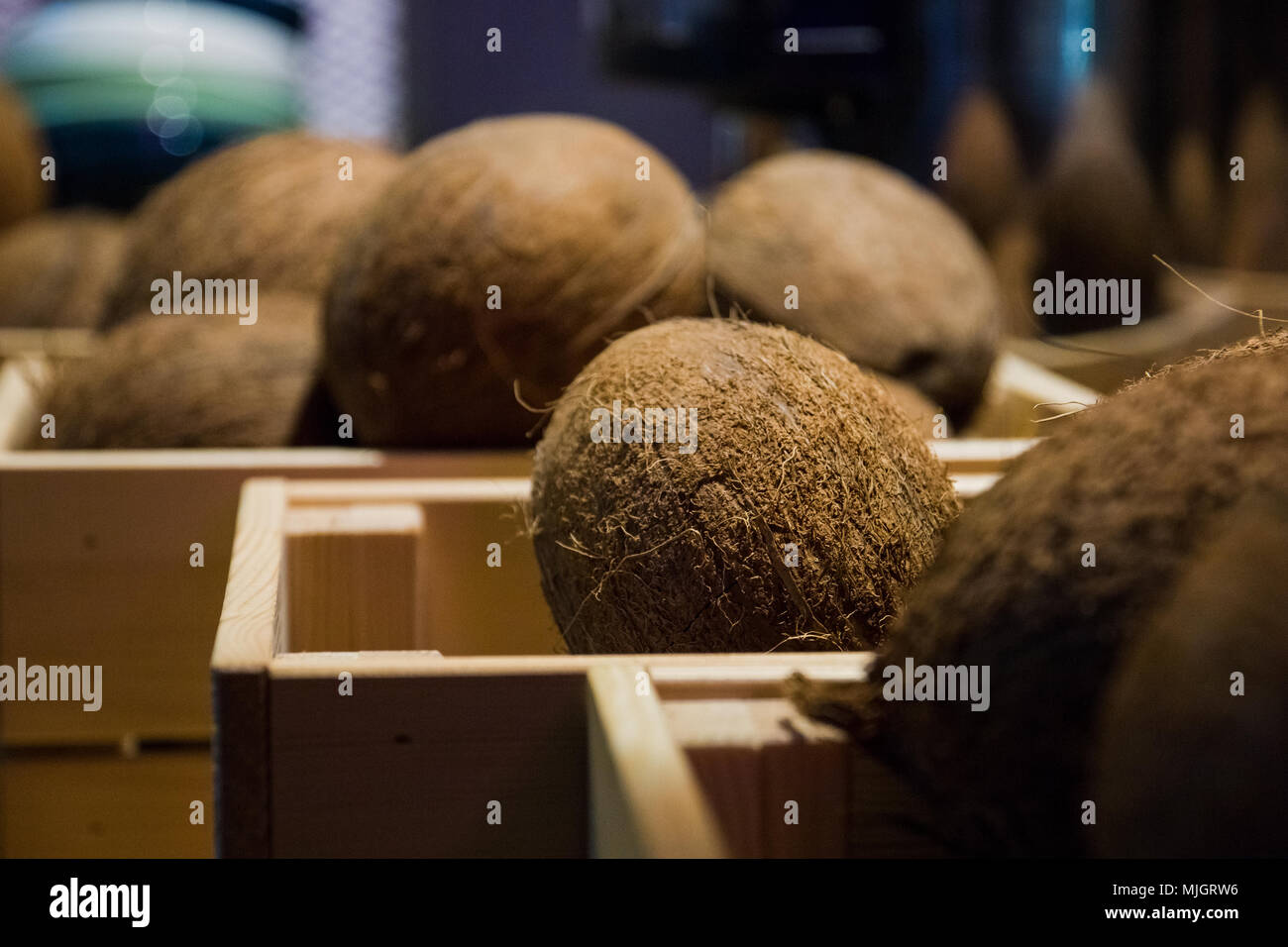 fresh coconuts in wooden boxes Stock Photo - Alamy