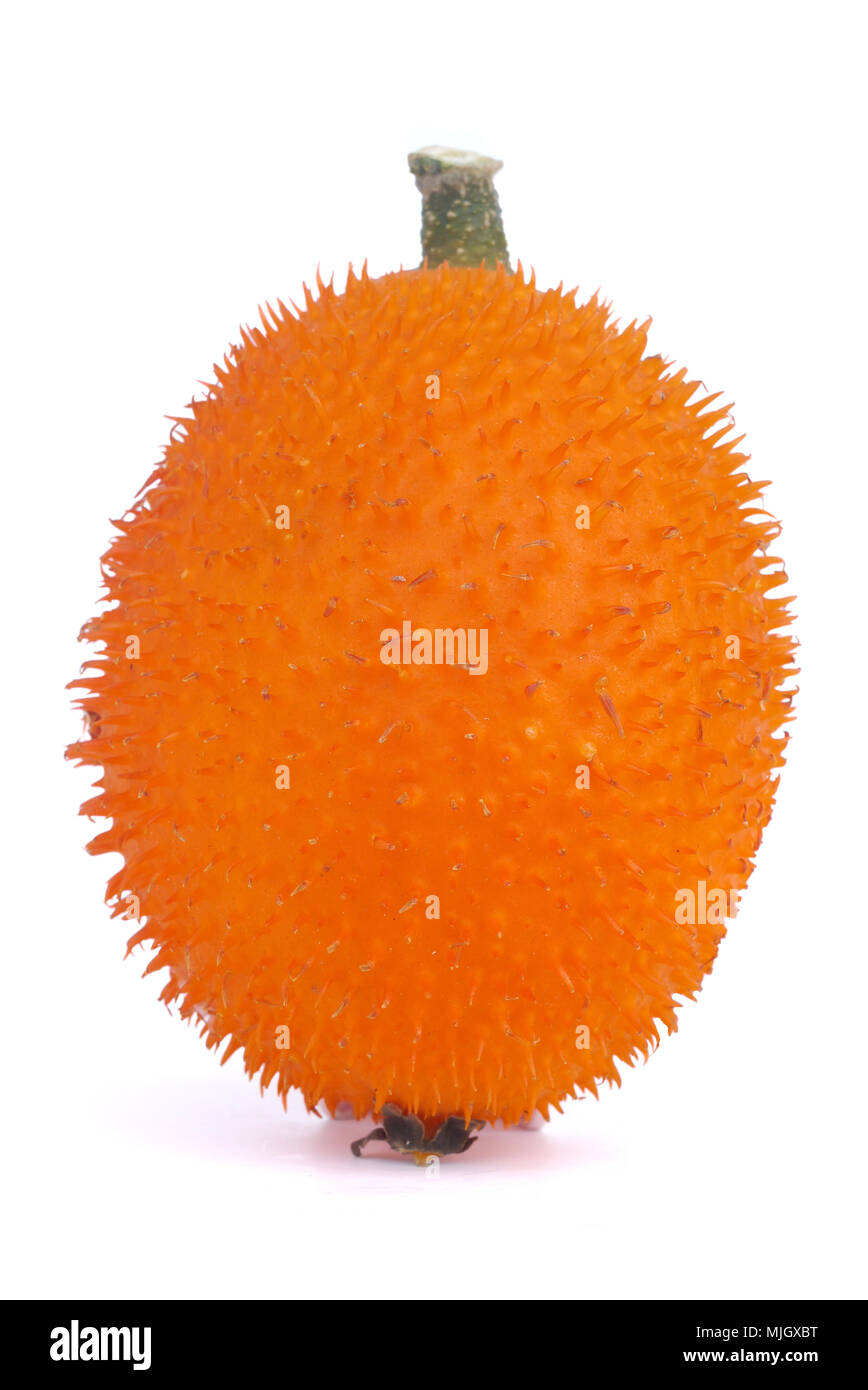 Momordica cochinchinensis, A Southeast Asian fruit isolate on white ...