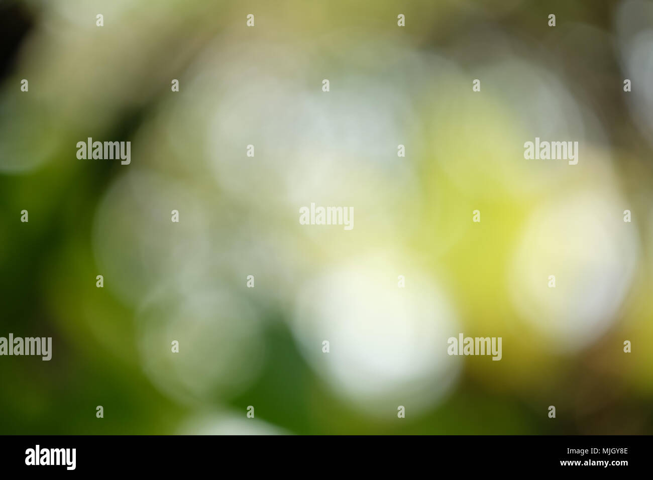 abstract background boke Stock Photo - Alamy