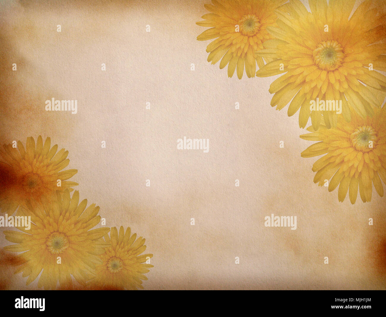 Old paper background with flower Stock Photo - Alamy