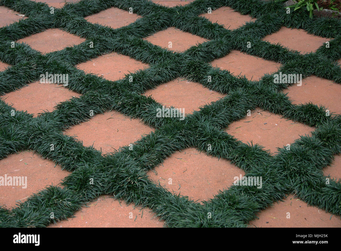 Mondo Grass Pavers