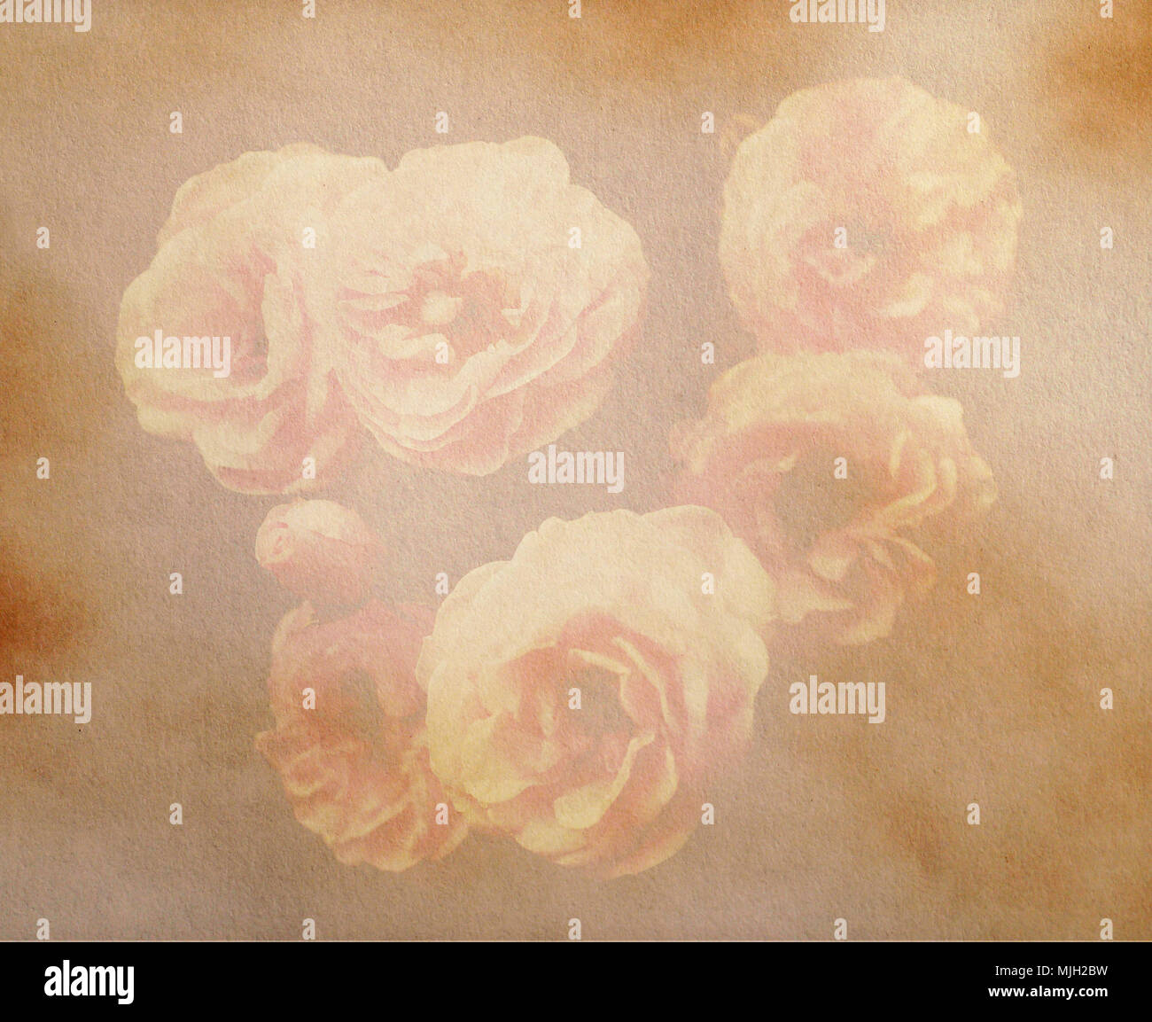 Old paper background with pink flower Stock Photo - Alamy