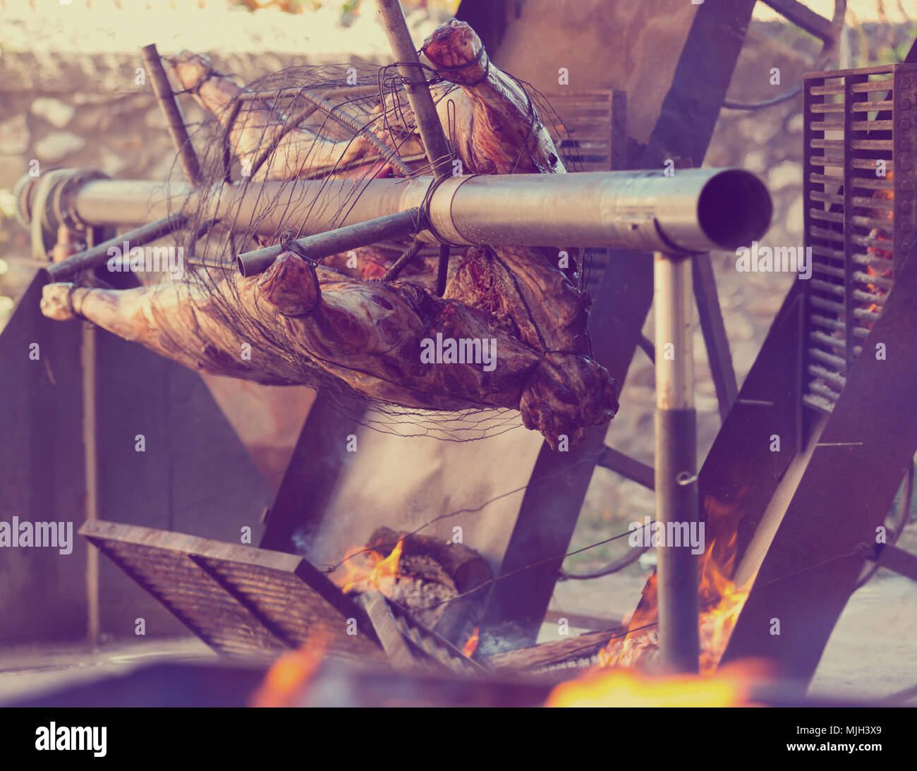 Close-up carcass of whole bull roasting on spit at Medieval Fiesta in ...