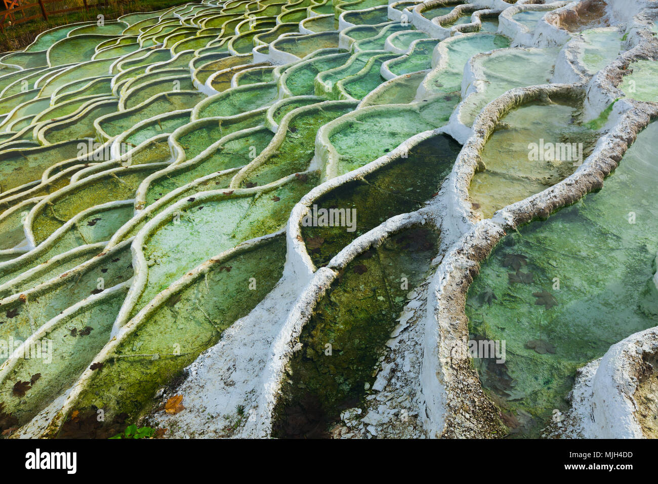 Natural terraced basins in Egerszalok thermal spring, Hungary Stock ...