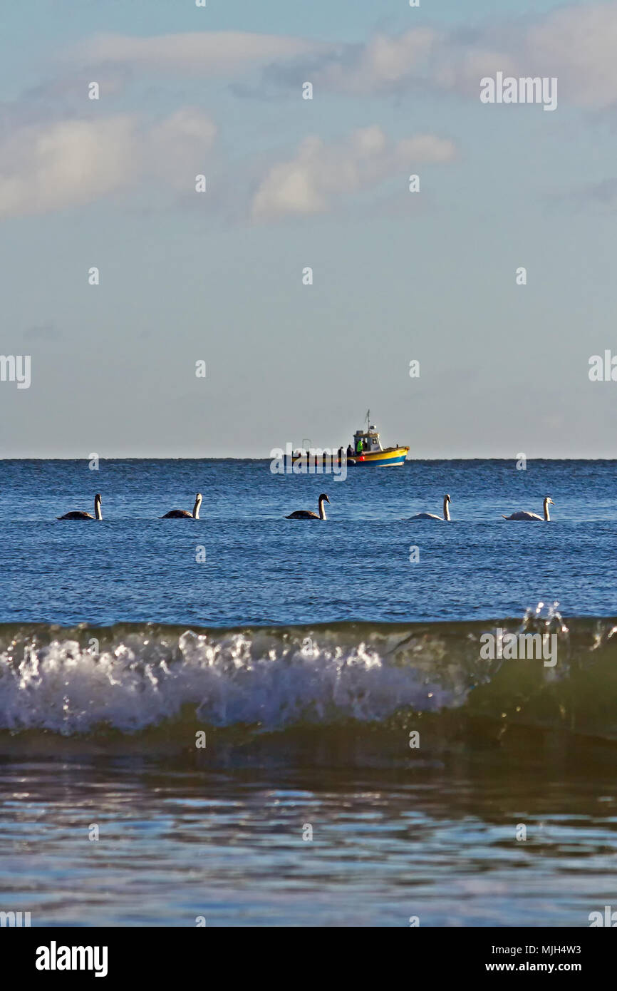 Line astern formation hi-res stock photography and images - Alamy