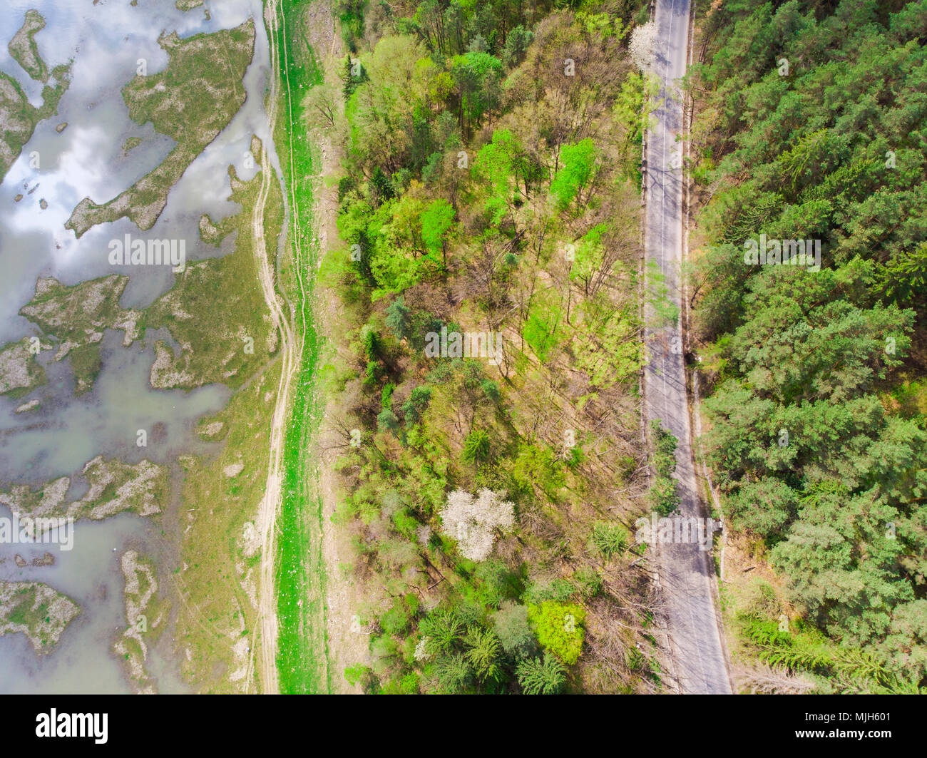 aerial view of swamp and field with flood water near forest. Romania ...