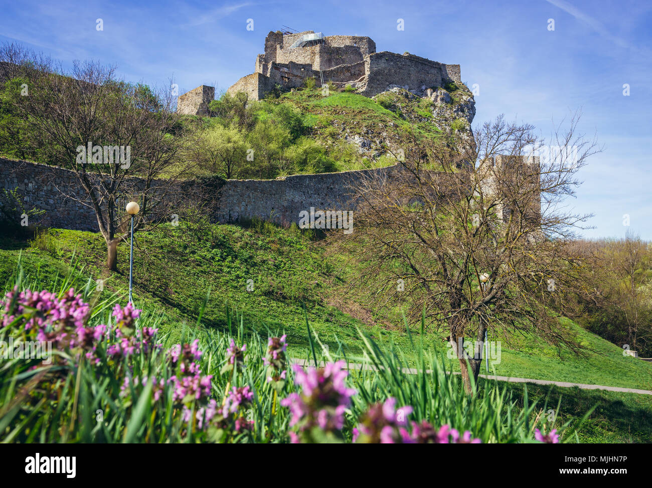 Castle in Devin, borough of Bratislava, one of the oldest castles in ...