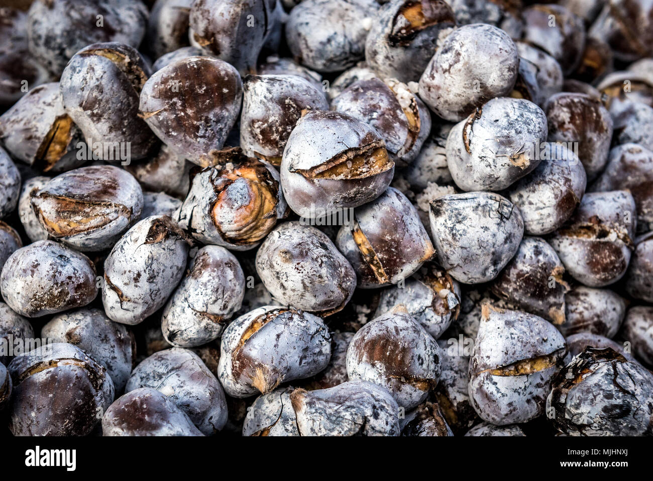 Portuguese chestnut hi-res stock photography and images - Alamy