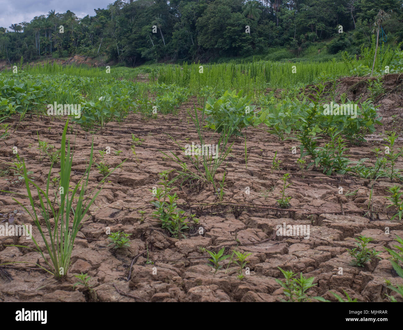 Trench texture hi-res stock photography and images - Alamy