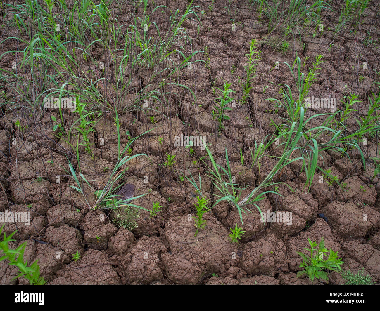 Trench texture hi-res stock photography and images - Alamy