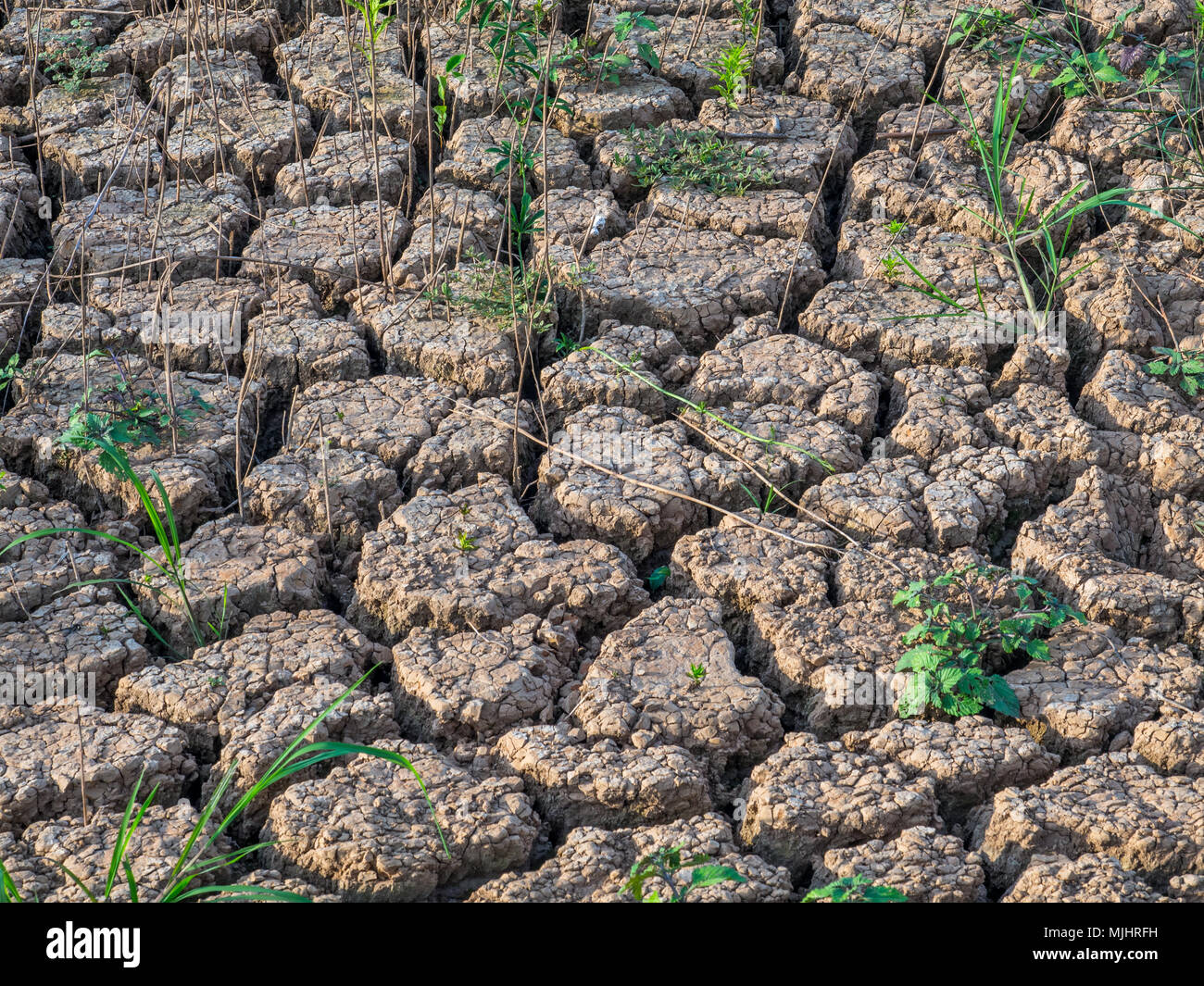 Trench texture hi-res stock photography and images - Alamy