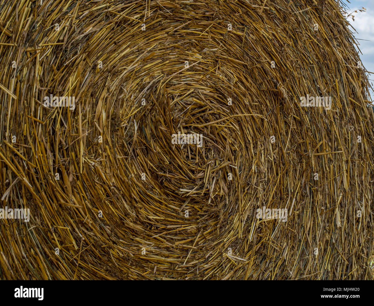 Straw wheels hi-res stock photography and images - Alamy