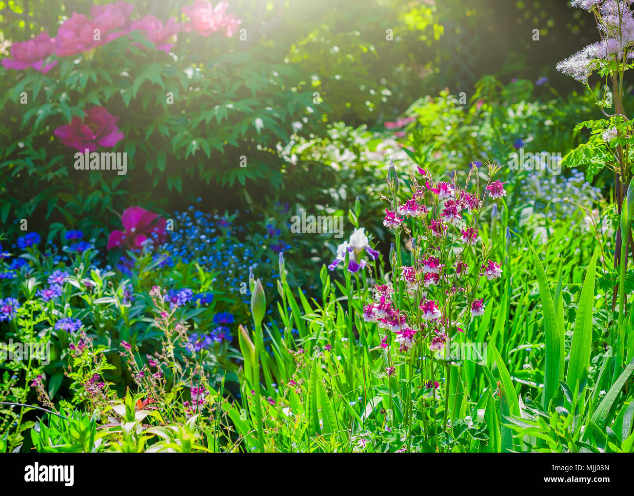 Sunlight falling bed bed hi-res stock photography and images - Alamy