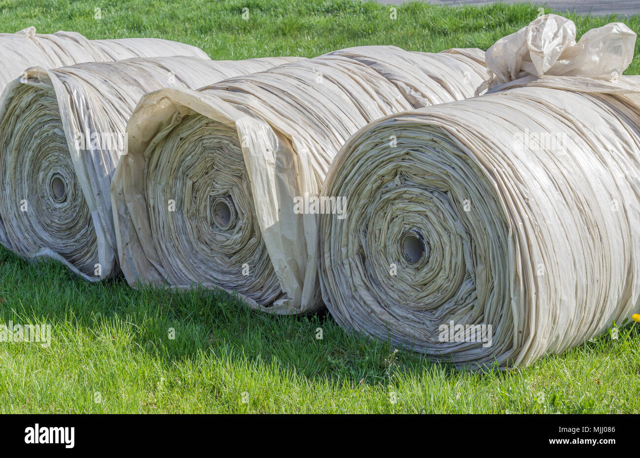 Growing foil hi-res stock photography and images - Alamy