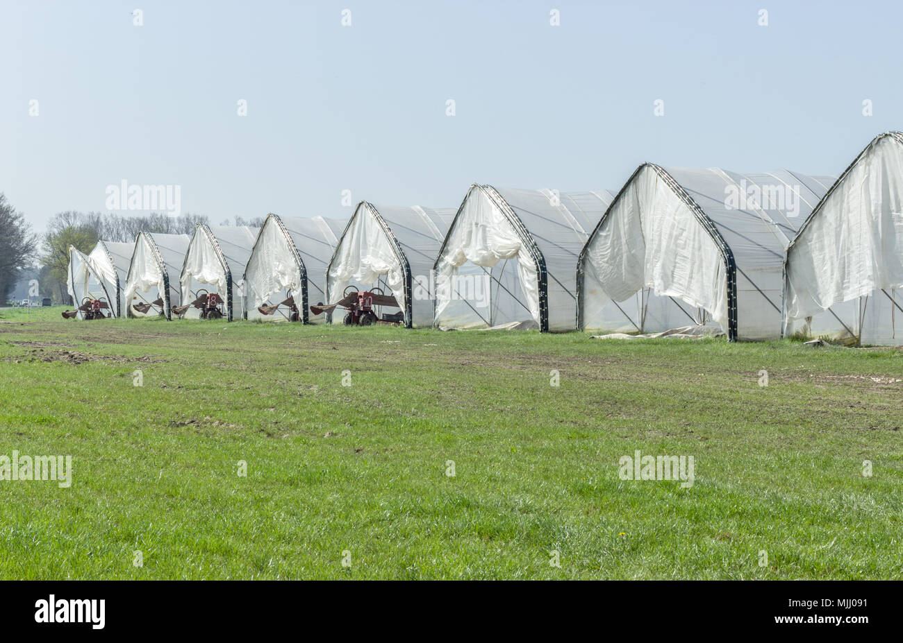 Vegetable tent hi-res stock photography and images - Alamy