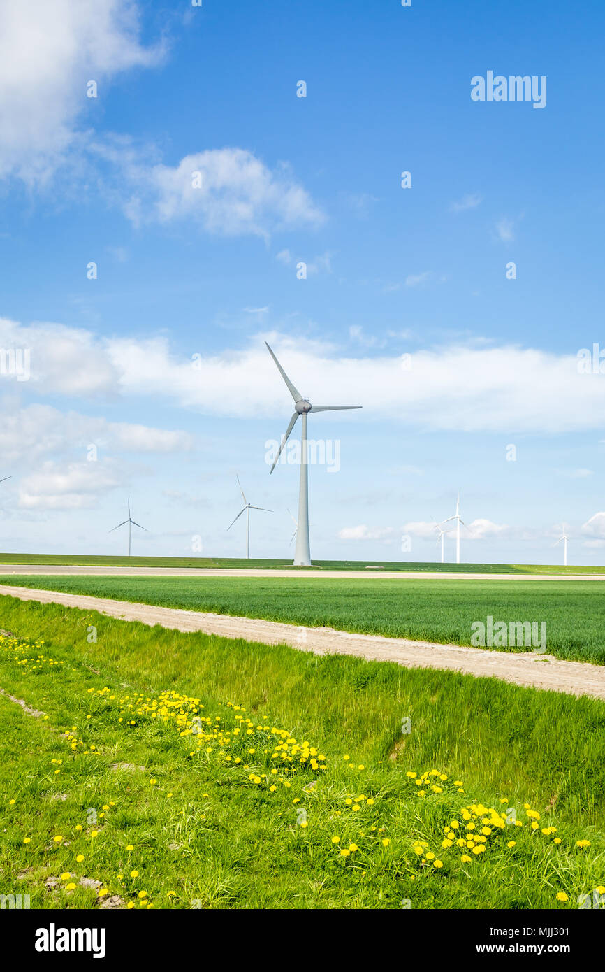 Dutch Wind turbine park along the dikes Stock Photo - Alamy