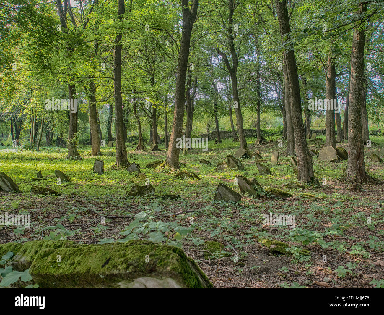 Dukla hi-res stock photography and images - Alamy