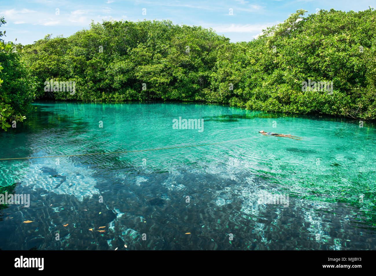 Woman floating in a nature cenote in Riviera Maya, Mexico Stock Photo ...
