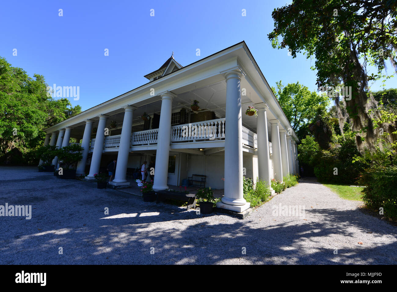 White plantation pillars hi-res stock photography and images - Alamy