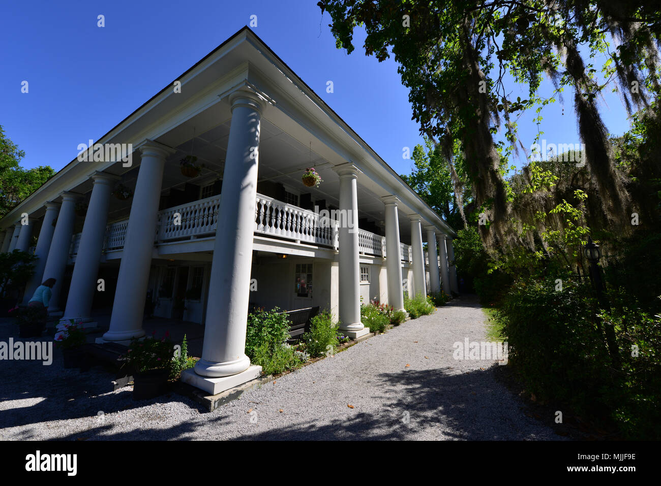 White plantation pillars hi-res stock photography and images - Alamy