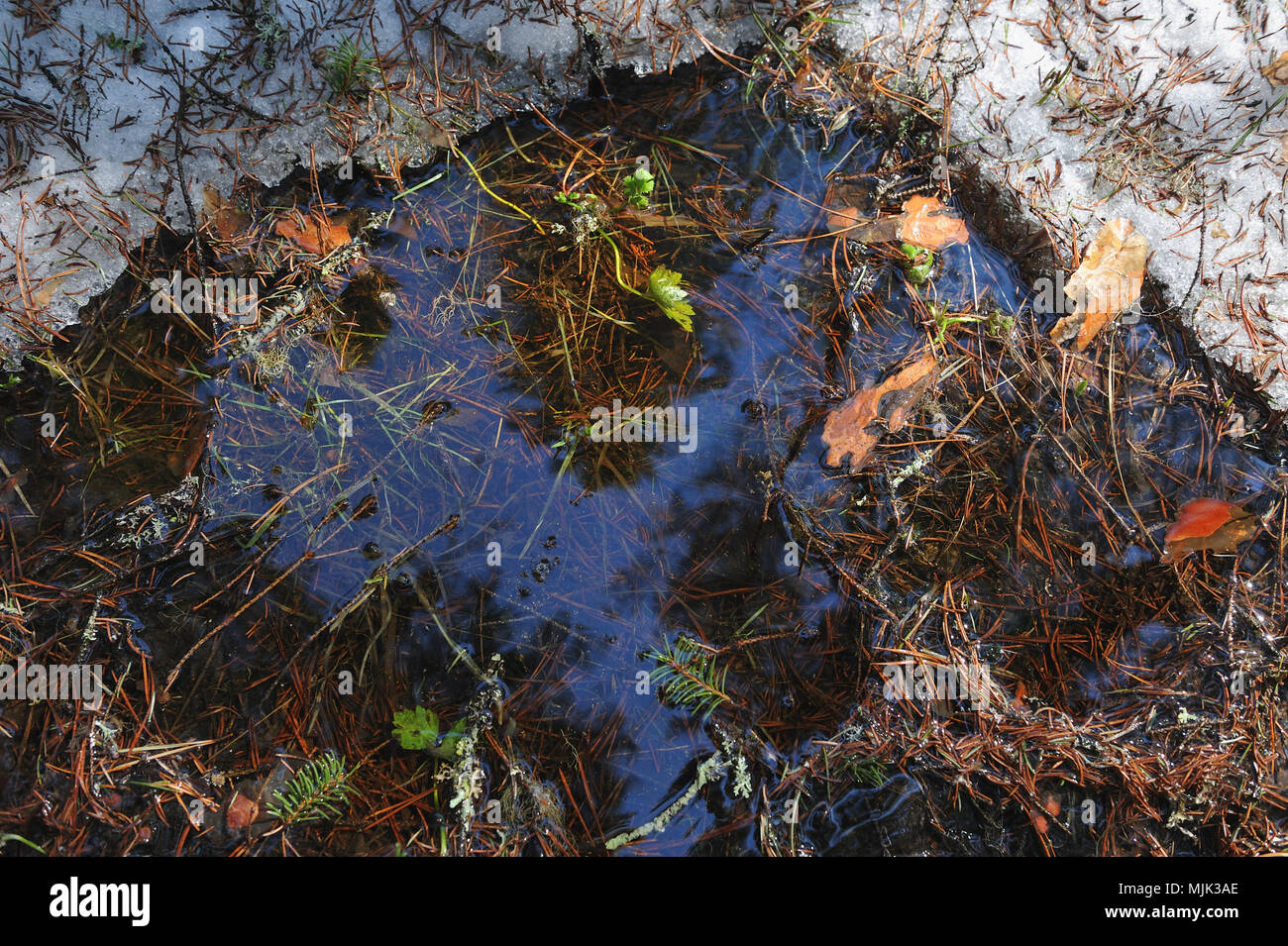 Puddle ground close up hi-res stock photography and images - Alamy