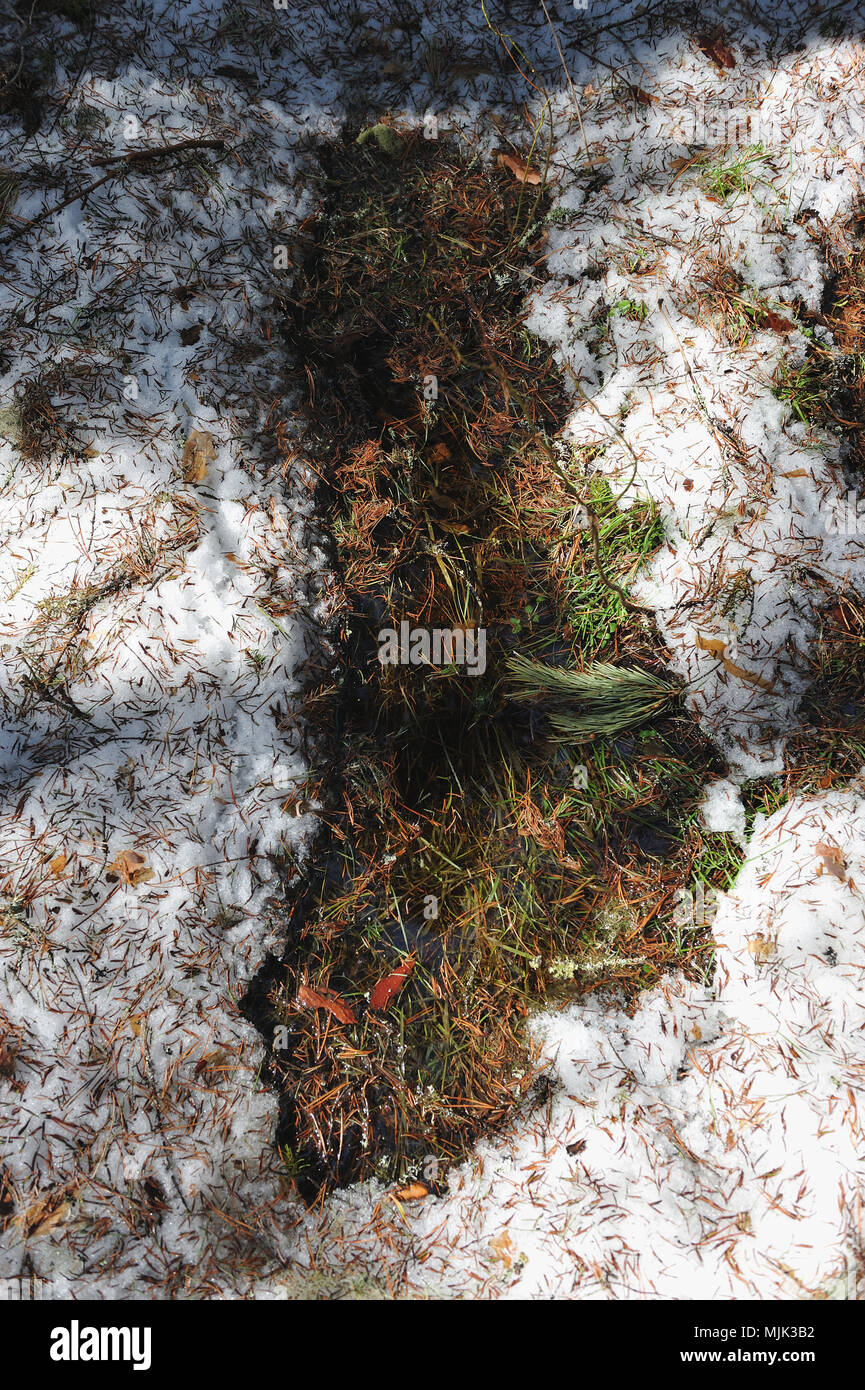 Ground thaw hi-res stock photography and images - Alamy