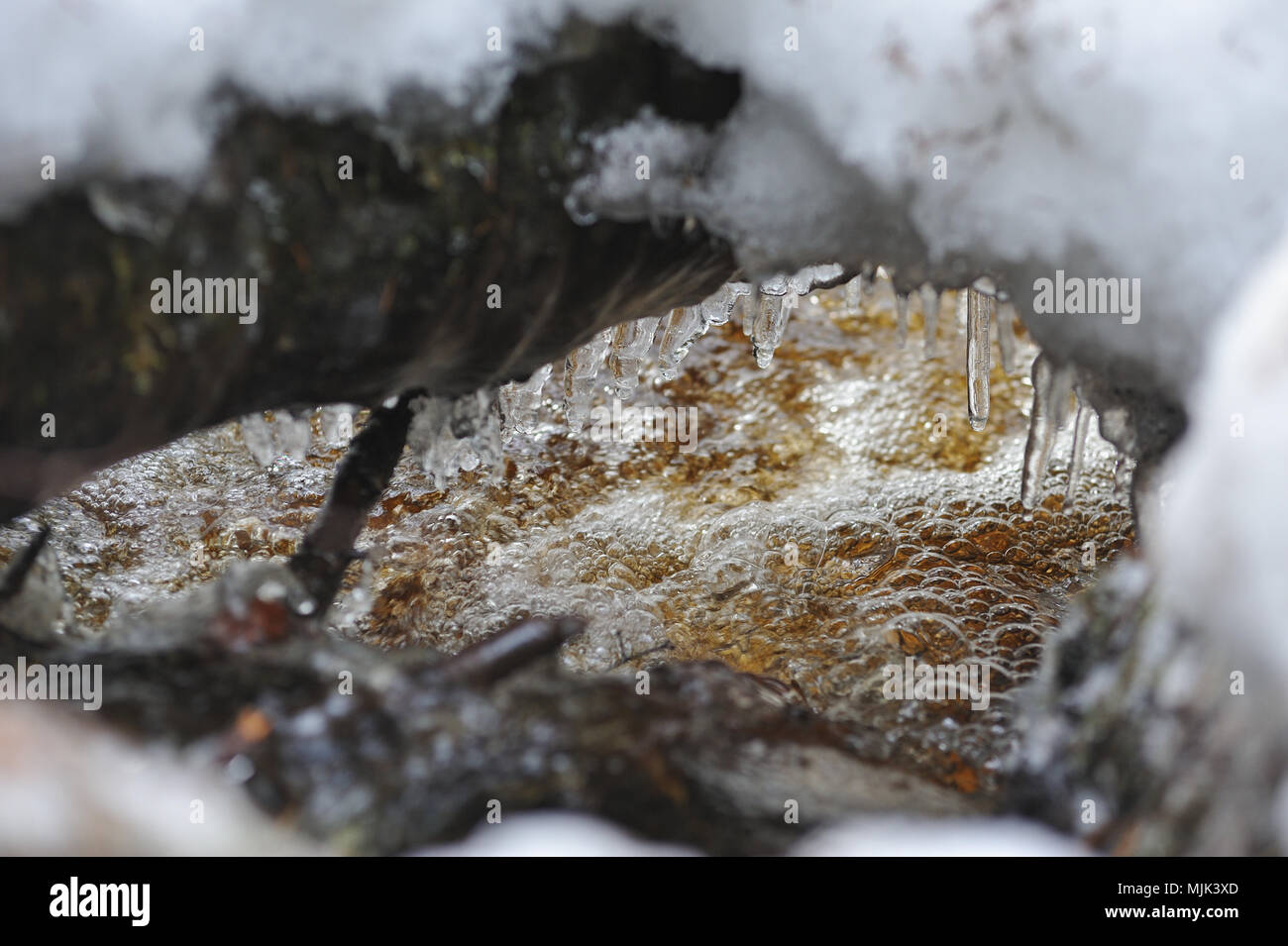 Spring melting of ice. Icicles and flow of water Stock Photo - Alamy