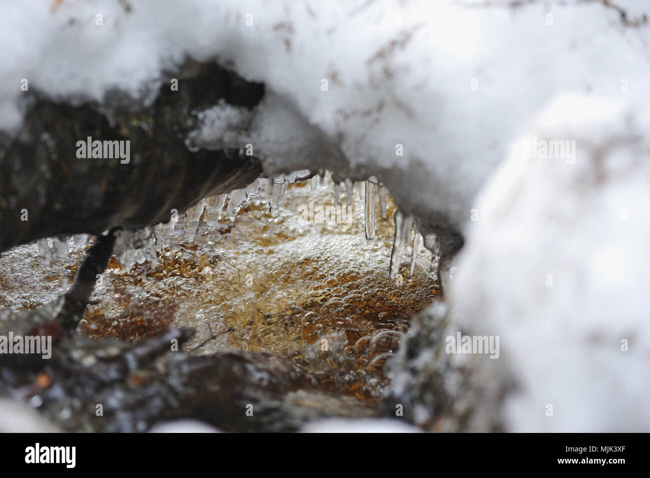 Spring melting of ice. Icicles and flow of water Stock Photo - Alamy