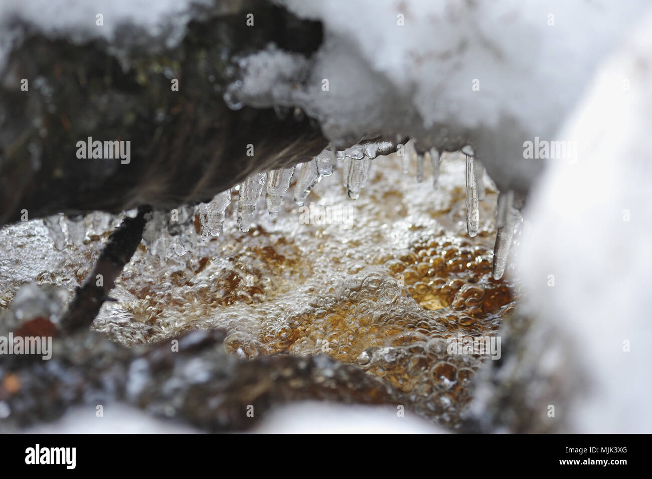 Spring melting of ice. Icicles and flow of water Stock Photo - Alamy