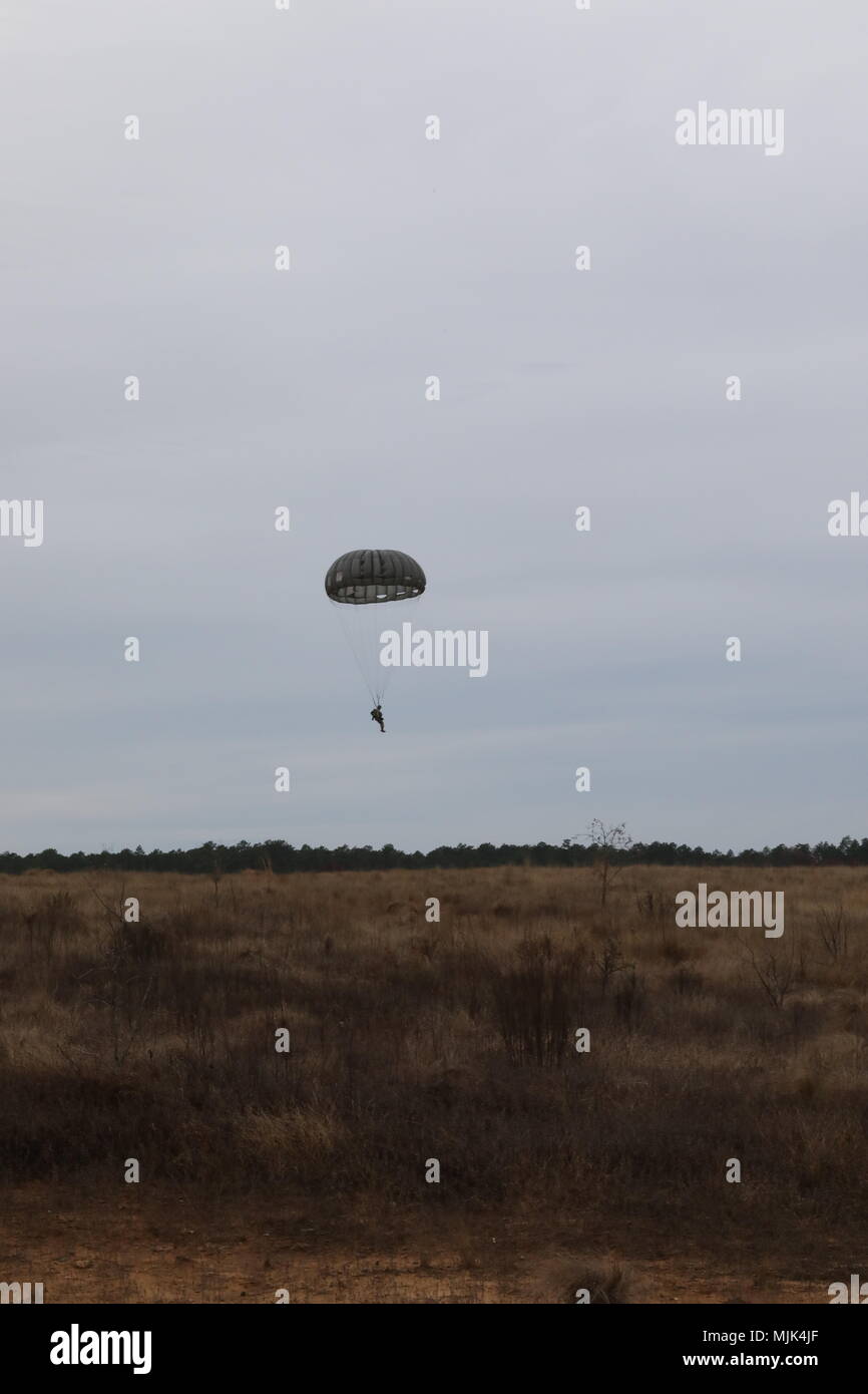 U.S. Army paratroopers fill the sky after jumping from the UH-60 Black ...